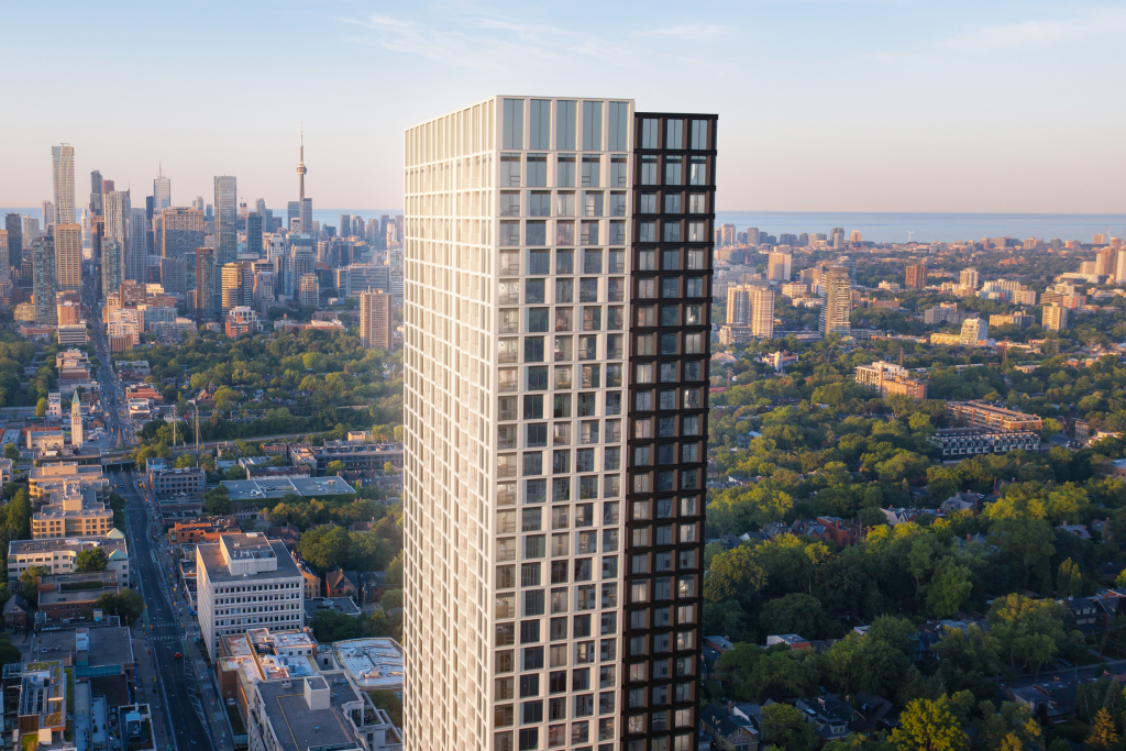 NEEZO Studios | The Hill Case Study